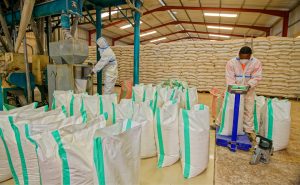 Sustainability - Chemaf